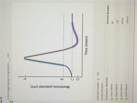 Phys 1 Flashcards Quizlet
