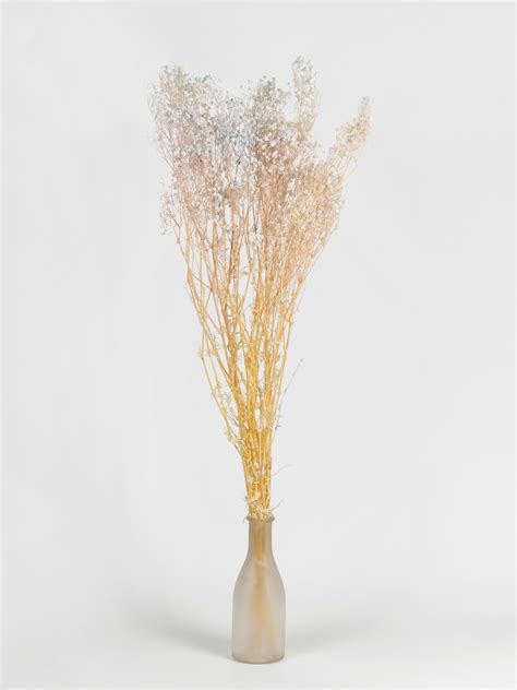 Гіпсофіла стабілізована вибілена світло синя купити в Україні за низькою ціною • Dfb Elements