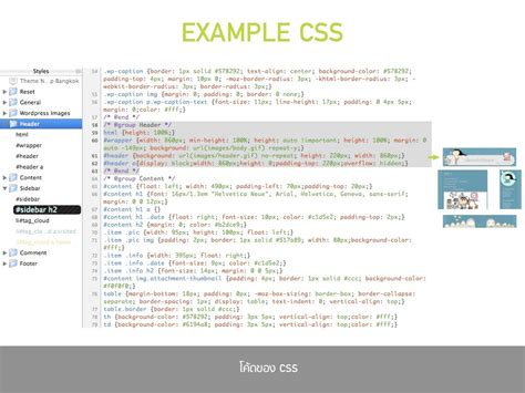 EXAMPLE CSS โคดของ CSS