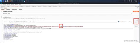 【最新portswigger官方靶场攻略】sql注入攻击最新最全攻略！portswigger官方靶场sql注入18个实验 掘金