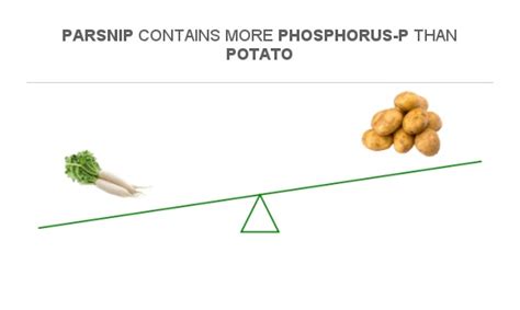 Compare Phosphorus In Parsnip To Phosphorus In Potato
