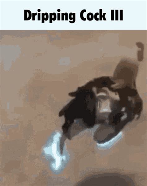 Dripping Cock Chicken Drip  Dripping Cock Chicken Drip Kracc Bacc