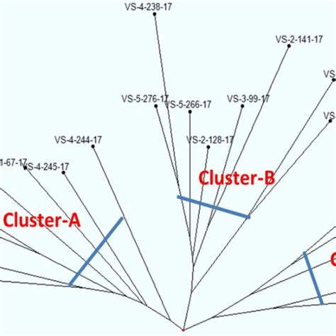 Principal Coordinate Analysis Pcoa Depicting Diversity Among