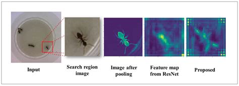 Applied Sciences Free Full Text Siamcam A Real Time Siamese Network For Object Tracking