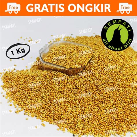 Jual MILET KUNING MILET CREAM CREM SHORTIRAN IMPORT GRADE A 1 KG BIJI