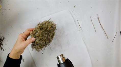 How To Make A Birds Nest Kippi At Home