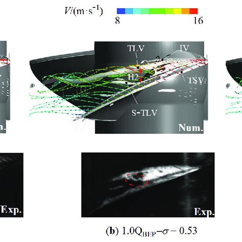 Schematic Diagram Of The Initial Stage Of The PCV Download Scientific Diagram