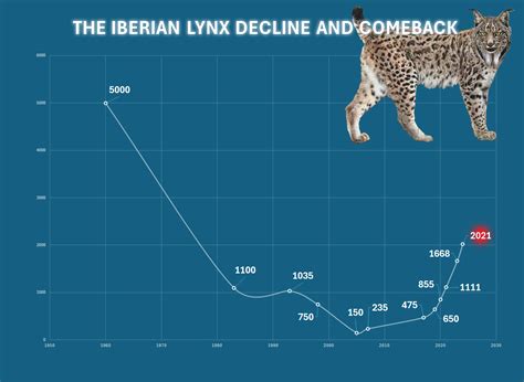 51 Best Iberian Lynx Images On Pholder Nature Is Fucking Lit Awwducational And Aww