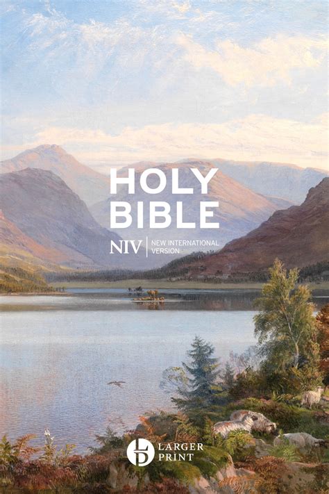 Niv Larger Print T Hardback Bible By New International Version