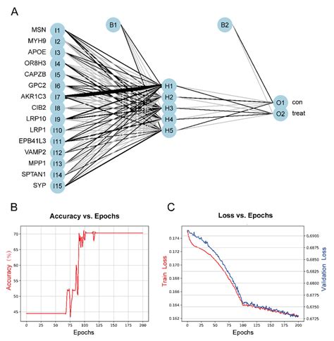A The Visualization Of The Neural Network Results B Figure Of