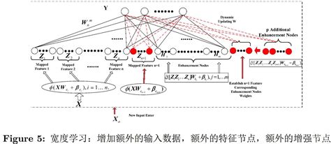 宽度学习系统：一种不需要深度结构的高效增量学习系统