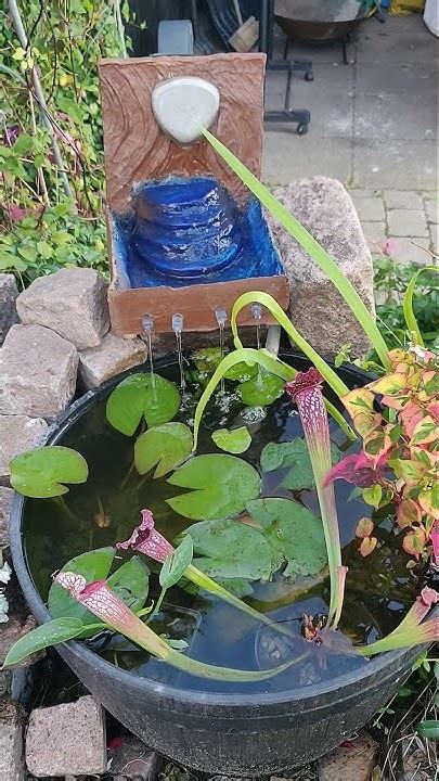 Nyt Springvand Youtube