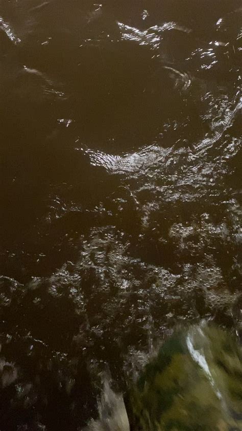 Whats Better Than Going To The Pits Going To The Pits During Some