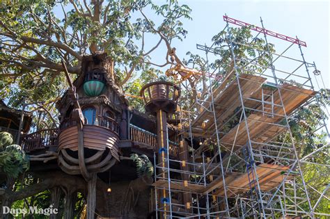 Work Continues On Adventureland Treehouse At Disneyland