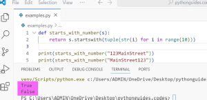 How To Check If A String Begins With A Number In Python