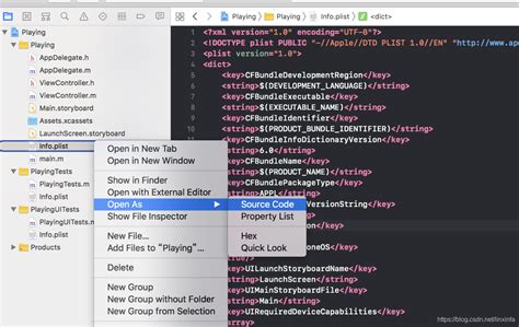 Ios Infoplist知多少 Csdn博客