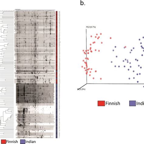 Dgge Based Diversity Analysis A Upgma Cluster Analysis Based On Download Scientific Diagram