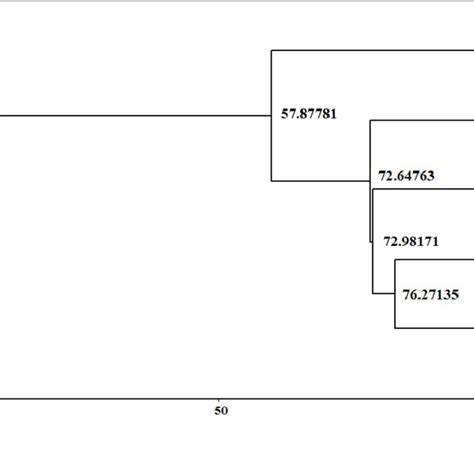 Dendrogram Of Jaccard Similarity Index Percentages Of Rotifers On