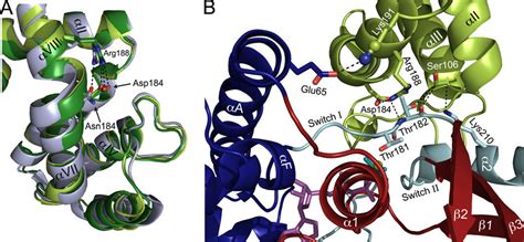 Particular G Selectivity Determinants Inferred From The Structural