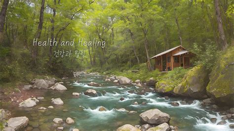 마음을 안정시켜주는 숲 속에서 명상 🎵 물 흐르는 소리 스트레스해소 숲 속의 휴식음악 백색소음 마음이 차분해지는 힐링음악 Youtube