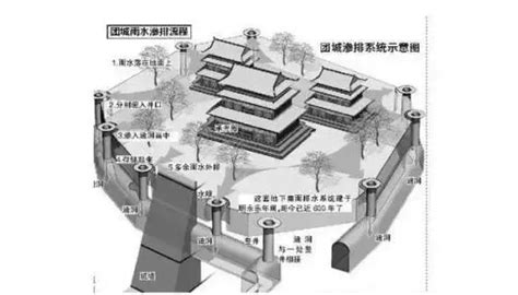 团城上独特的生态奇观 知乎
