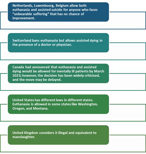 Discover Everything About Euthanasia And Its New Guidelines