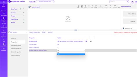 Working With Salesforce Source Instance Transform
