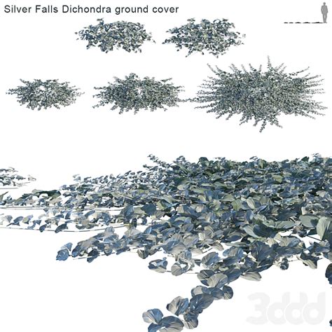 Silver Falls Dichondra Ground Cover 5 Module Уличные 3d модель