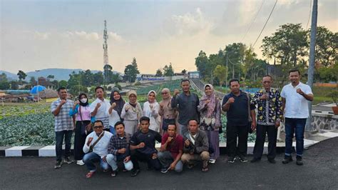 Programmer Sertifikat Profesi Bnsp Lembaga Sertifikasi Resmi