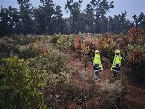 Home Towards Sustainable Mining