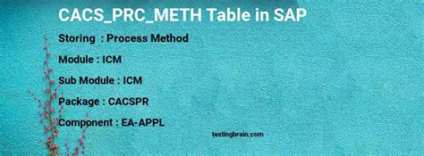 Cacsprcmeth Sap Table For Process Method