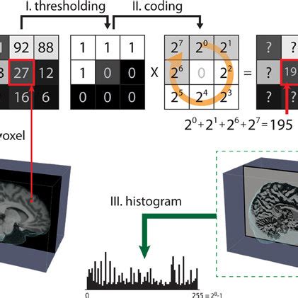 Steps For Computing The Local Binary Pattern LBP Operator The LBP Of Download Scientific