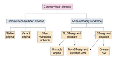 Patho Ch 27 Disorders Of Cardiac Function Heart Failure