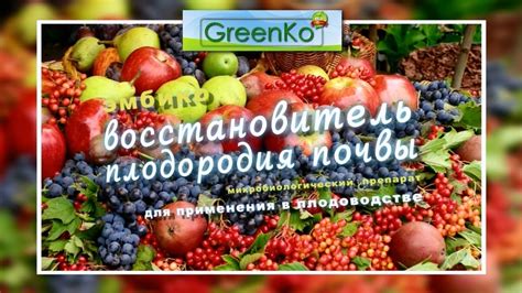 Эмбико Восстановитель плодородия почвы для плодовых - YouTube