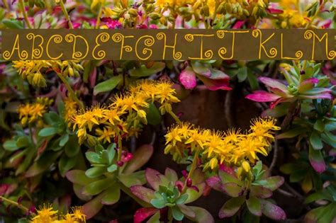 TWistED Font FFonts Net