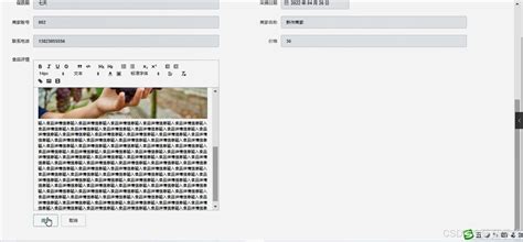 Java计算机毕业设计乡村振兴的数字化管理平台（开题报告源码论文）数字乡村网格化治理平台设计与开发 毕业论文 Csdn博客