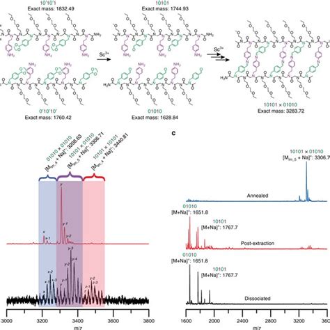 Dynamic Covalent Assembly Of Encoded Molecular Ladders A Structures Of Download Scientific