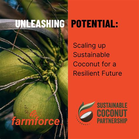 Norbert Binot On Linkedin What If We Could Source Sustainable Coconut What If The Living