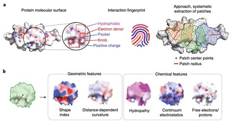 NeurIPS Roundup Generative Protein Design