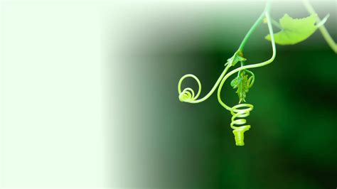 Model Ops Consulting Ai Model Monitoring