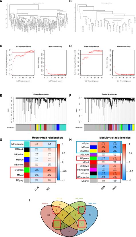 Figure 2 From The Shared Biomarkers And Pathways Of Systemic Lupus Erythematosus And Metabolic