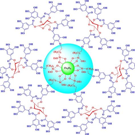The Structure Of Fe3o4 Sp Ta Mnps Download Scientific Diagram