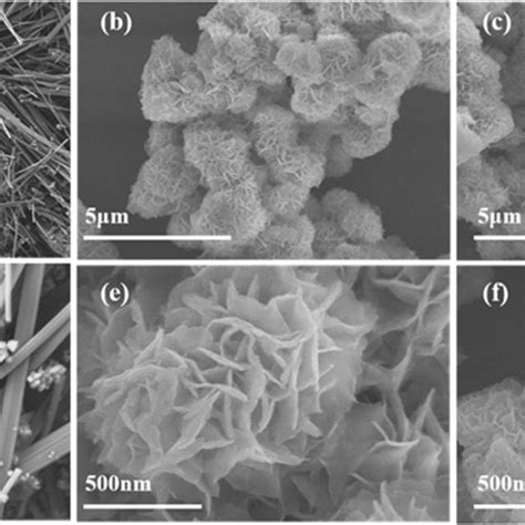 Sem Image Of Znin2s4 Tio2 Andtnzis 70 Photocatalyst A D Tio2
