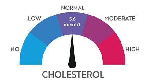Cholesterol Level Meter Indicator 12732669 Vector Art At Vecteezy