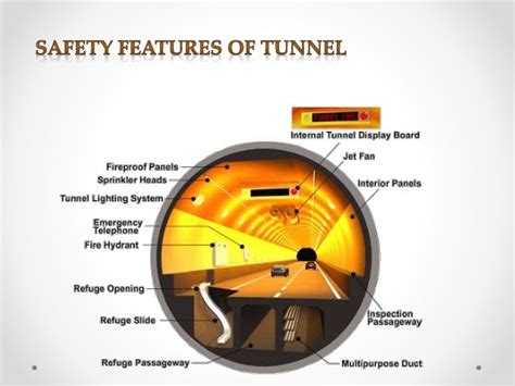 Tunneling And Its Effects
