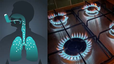 Why Is Us Considering Banning Gas Stoves Health Fears Explored