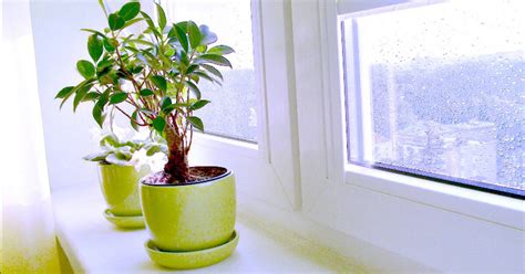 How To Fix Stuck Windows And Doors FAST Housewife How Tos