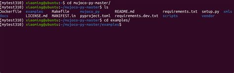 Ubuntu20上 ： Mujoco210安装教程 Mujoco210下载 Csdn博客
