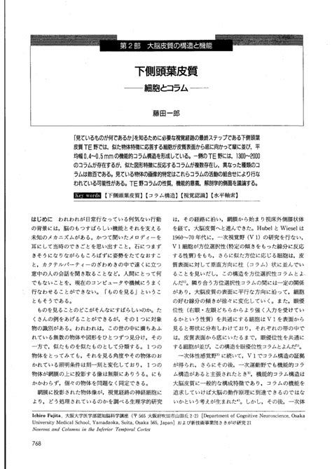 Pdf Neurons And Columns In The Inferior Temporal Cortex