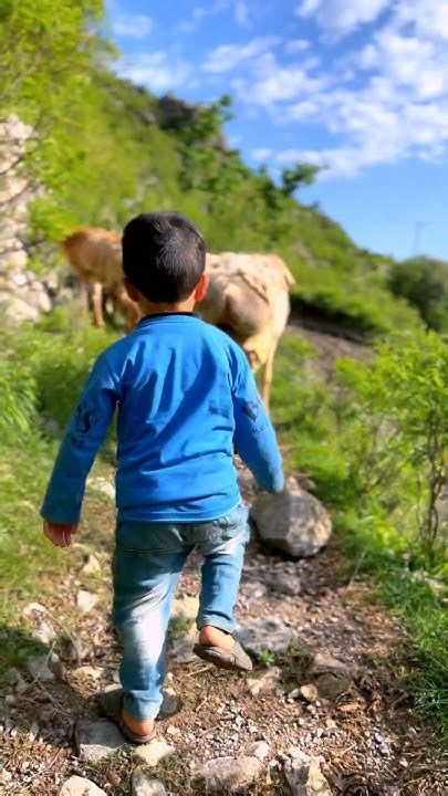 إبني الغالي ️ Youtube